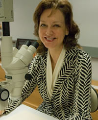 Margaret Holben Ellis on Hinging - Bark Frameworks