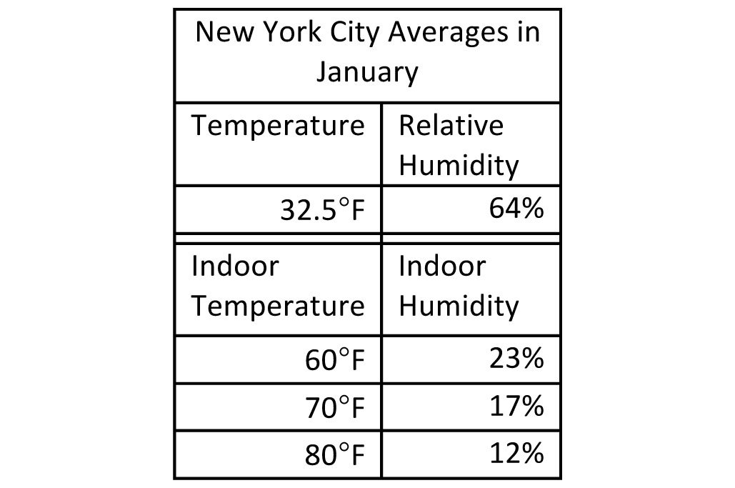 Environment - Bark Frameworks