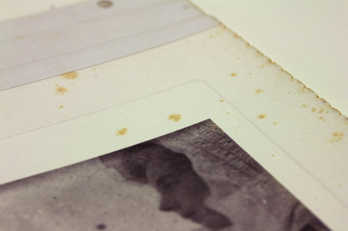 Environment - Bark Frameworks