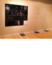 Framing Sally Mann - Bark Frameworks